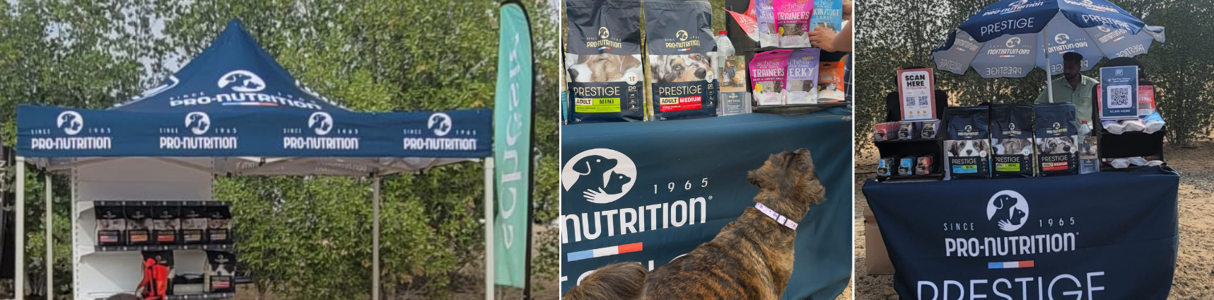 Desert Splash : UAE's Pet Event Featuring Schesir & Pro Nutrition