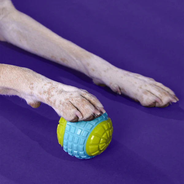 Pado Green And Sky Blue Tougher Toy (⌀8cm) | SMBG B2B Website