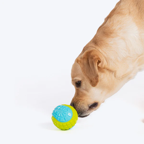 Pado Green And Sky Blue Tougher Toy (⌀8cm) | SMBG B2B Website