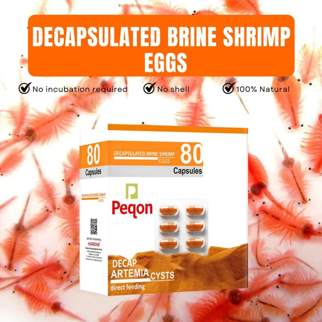 Horizone Peqon Decap Artemia Cyst – Ready-to-Feed Decapsulated Brine ...